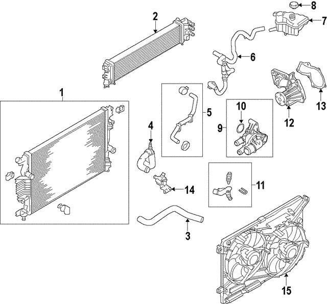 Water Pump Assembly - Ford (DS7Z-8501-E) | OEM Ford Parts