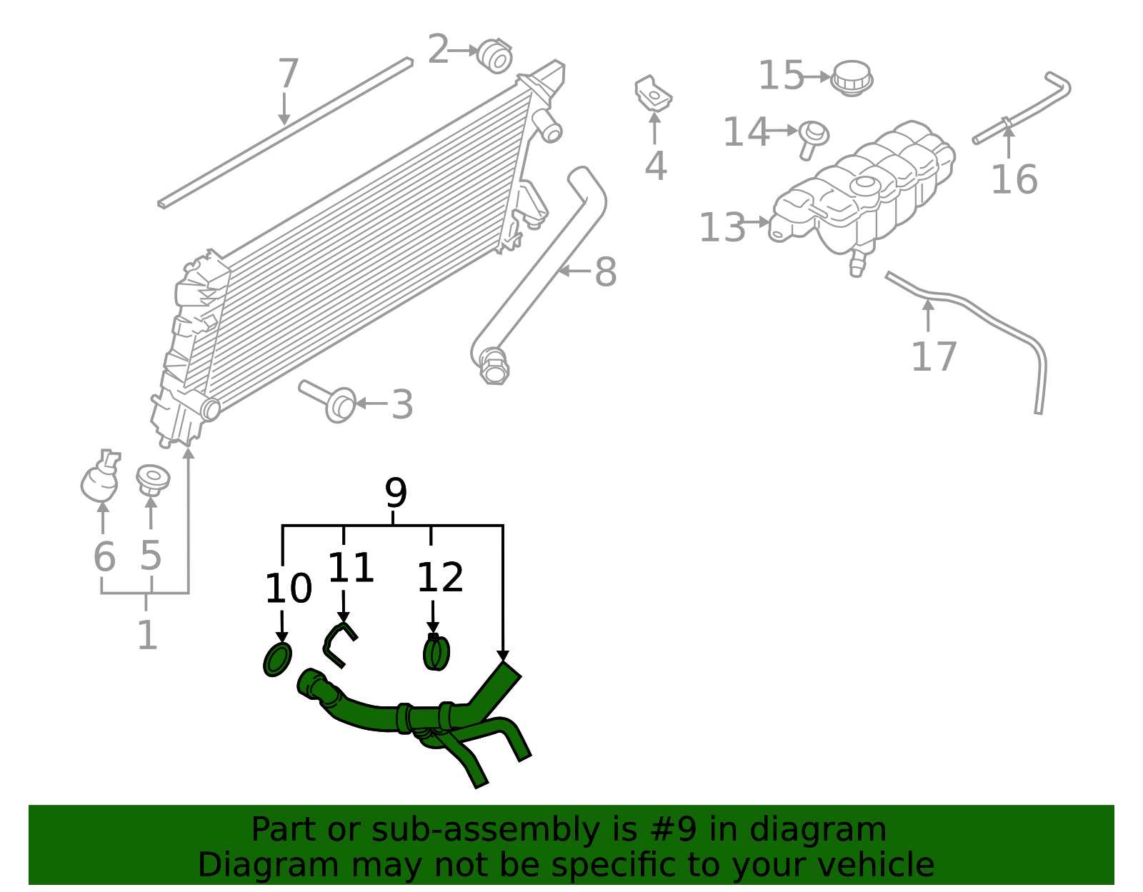 ML3Z-8286-E - Lower Hose 2021-2023 Ford F-150 | Online Ford Parts Catalog